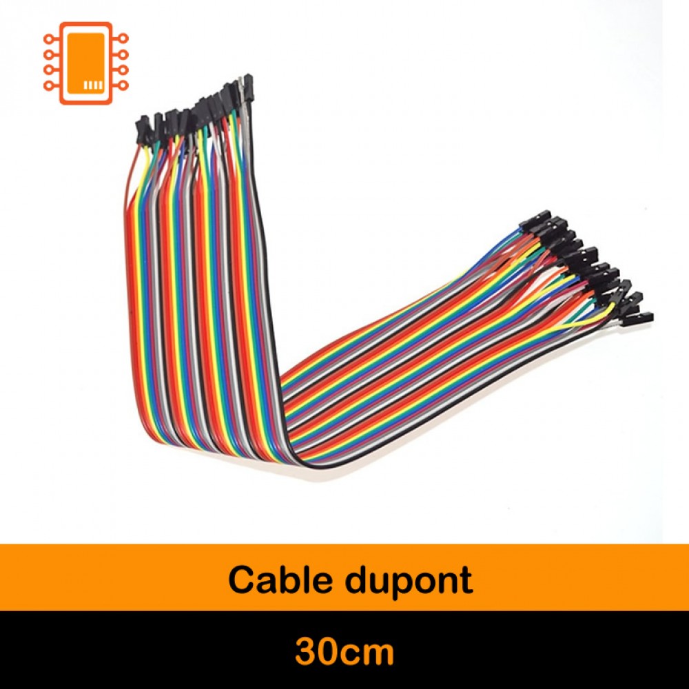 Cable Dupont 20 cm